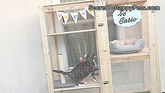 Cómo Convertir Un Estante De Ikea En Un Catio 🐶 Es.SecretToHappyPets.com