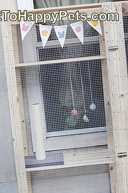 Cómo Convertir Un Estante De Ikea En Un Catio 🐶 Es.SecretToHappyPets.com