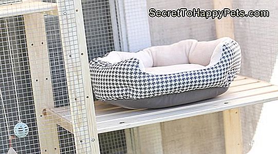 Cómo Convertir Un Estante De Ikea En Un Catio 🐶 Es.SecretToHappyPets.com