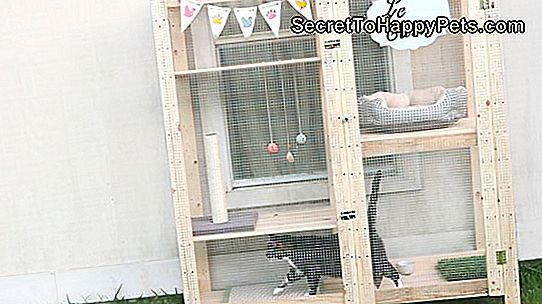 Cómo Convertir Un Estante De Ikea En Un Catio 🐶 Es.SecretToHappyPets.com