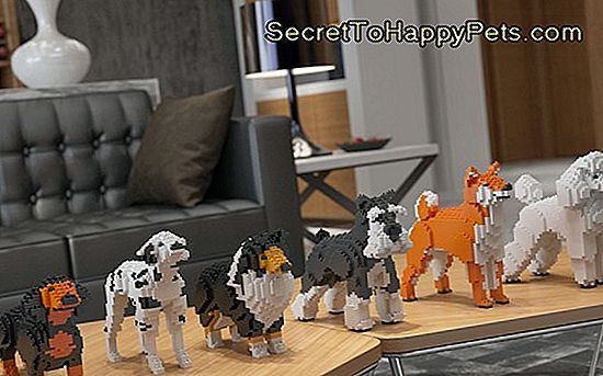 Estas Esculturas De Lego De Gatos Y Perros De Tamaño Real Harán Volar ...